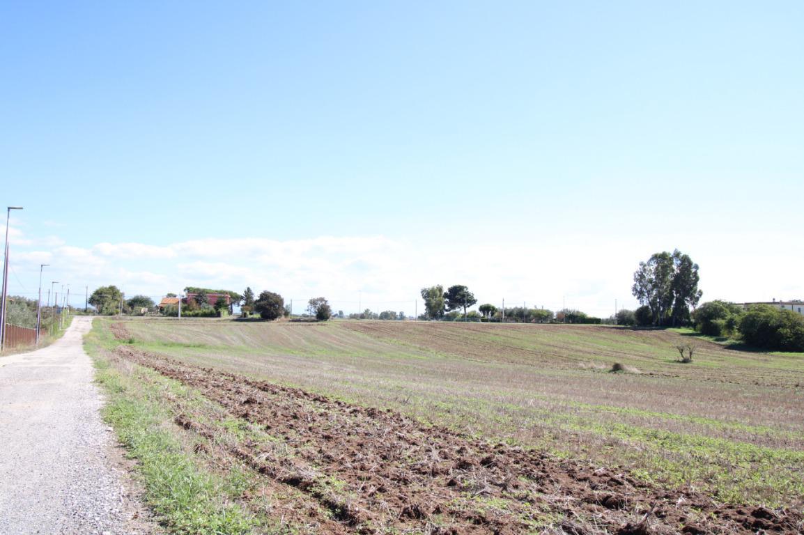 Terreno agricolo in vendita a Pomezia