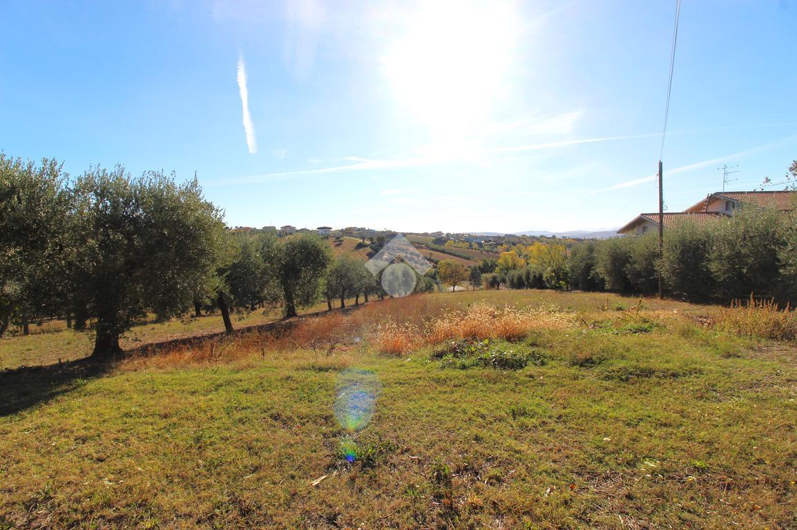 Terreno edificabile in vendita a Ancarano