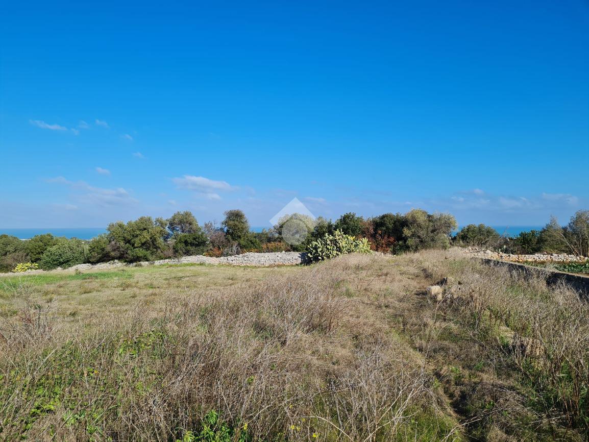 Terreno agricolo in vendita a Polignano A Mare