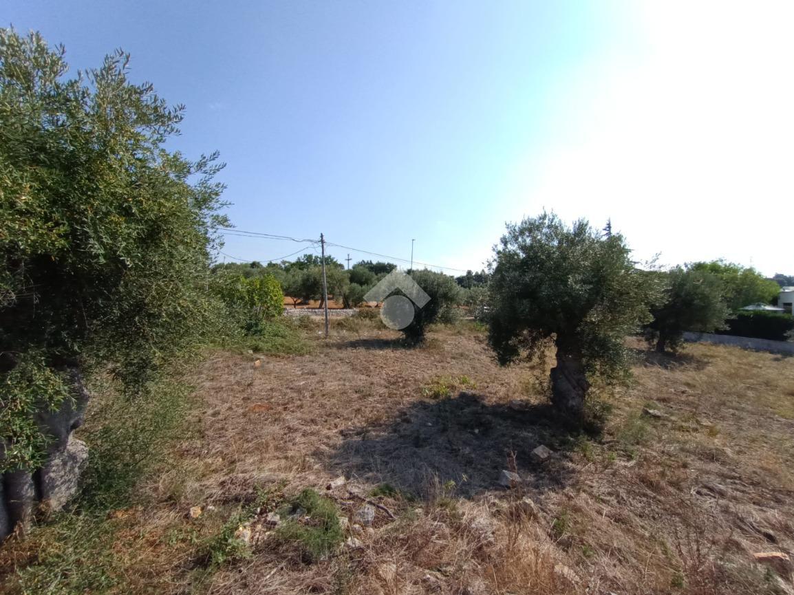 Terreno agricolo in vendita a Polignano A Mare