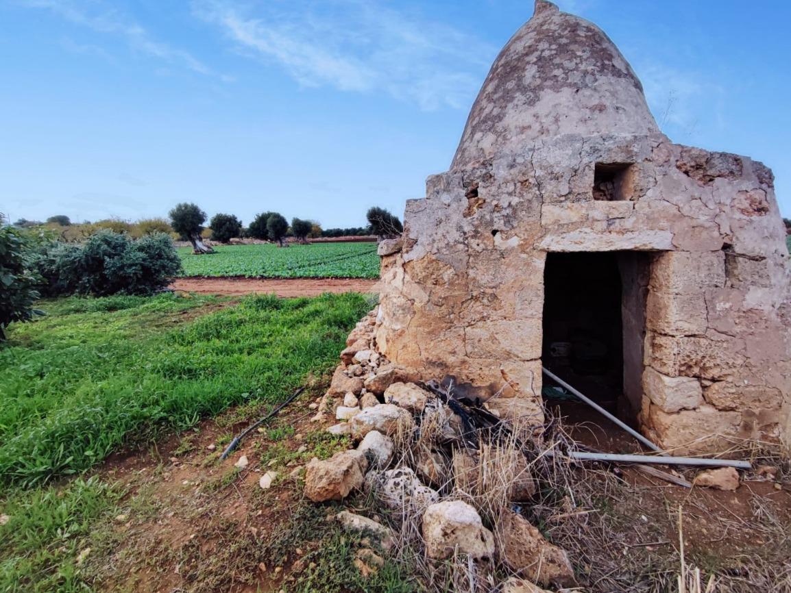 Terreno agricolo in vendita a Polignano A Mare