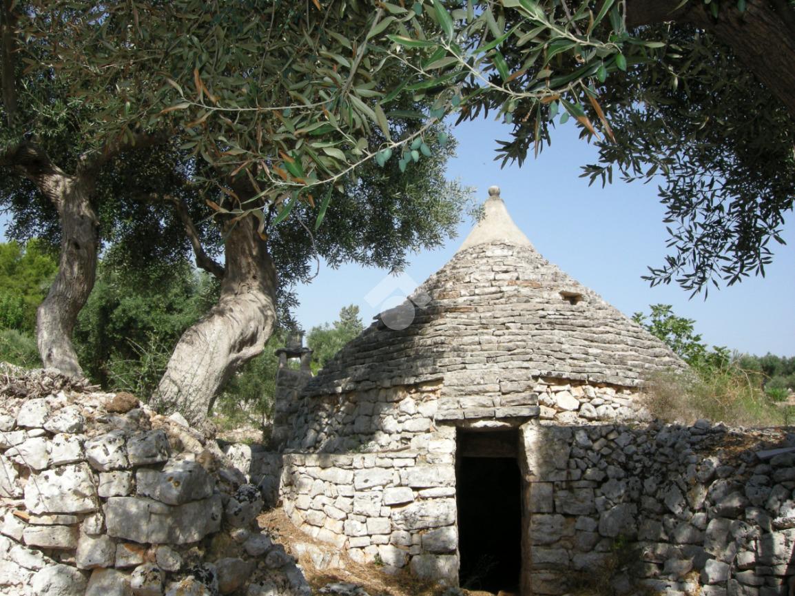Terreno agricolo in vendita a Polignano A Mare