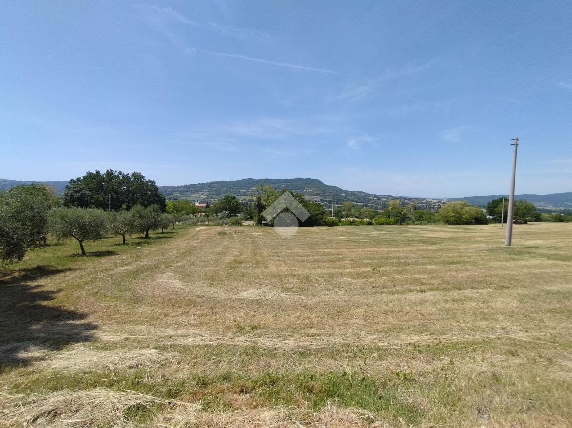 Terreno agricolo in vendita a Gualdo Tadino