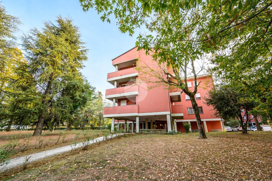 Appartamento in vendita a Zola Predosa