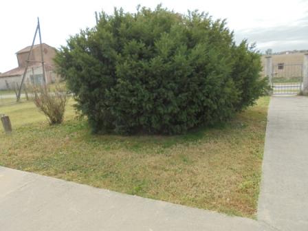 Casa indipendente in vendita a Ceneselli