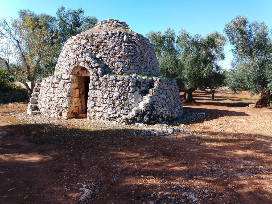 Terreno edificabile in Contrada Sierri 4 1, Carovigno
