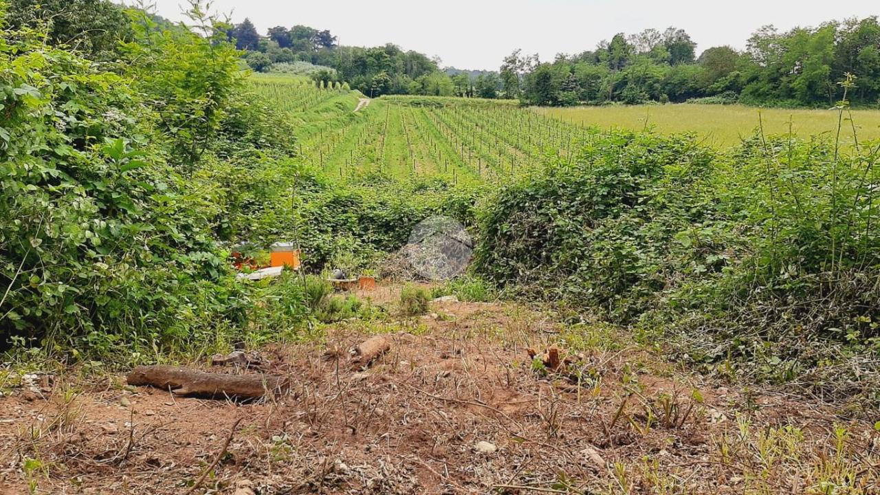 Terreno agricolo in vendita a Provaglio D'Iseo