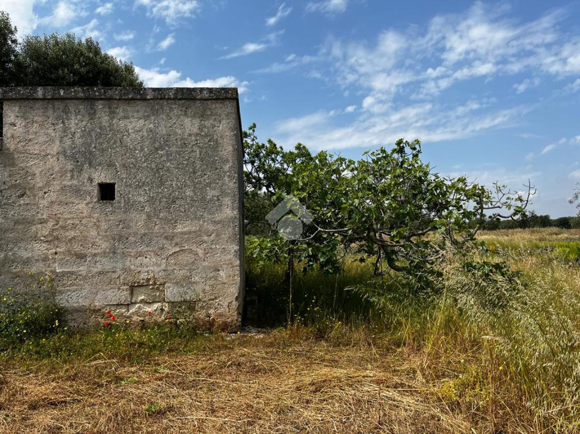 Terreno edificabile in vendita a Fasano