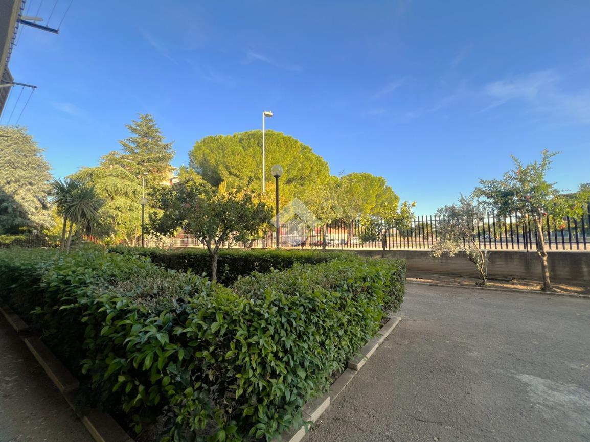 Appartamento in vendita a San Severo