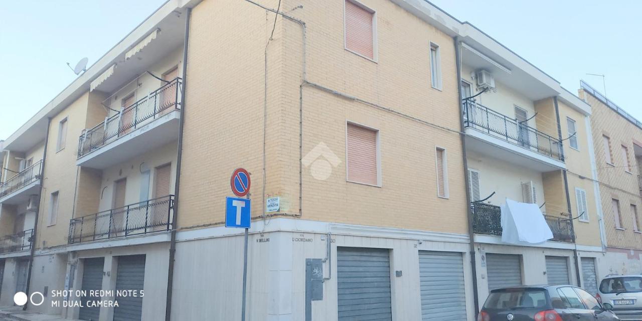 Appartamento in vendita a San Severo