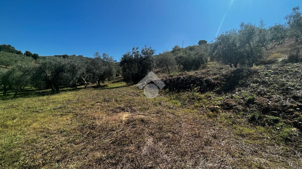 Terreno edificabile in vendita a Monte San Giovanni Campano