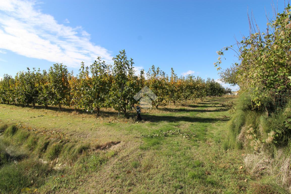 Terreno agricolo in vendita a Cesena