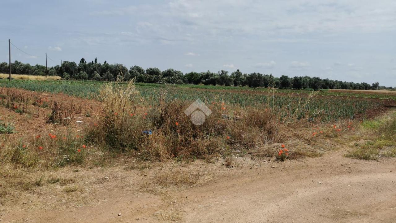 Terreno agricolo in vendita a Nardo'