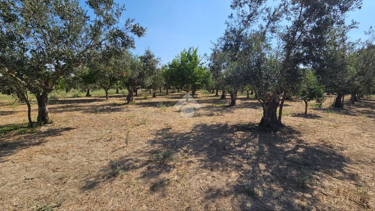 Terreno edificabile in vendita a Nardo'