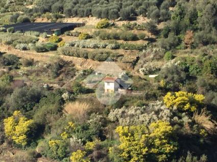 Rustico in vendita a Vallebona