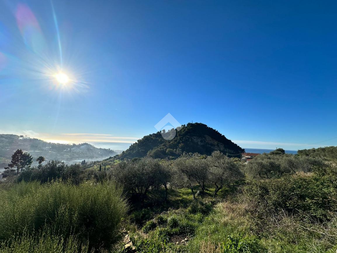 Terreno agricolo in vendita a Bordighera