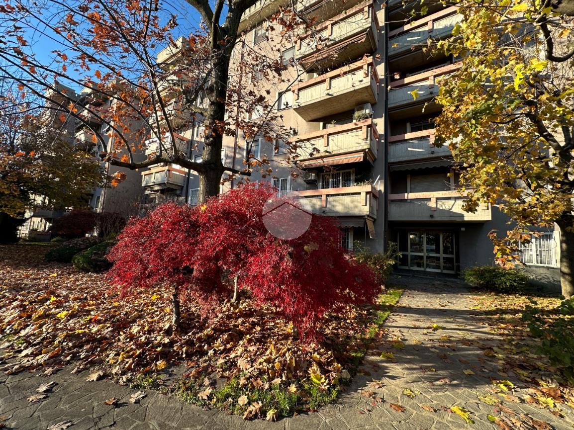 Appartamento in vendita a Bussero