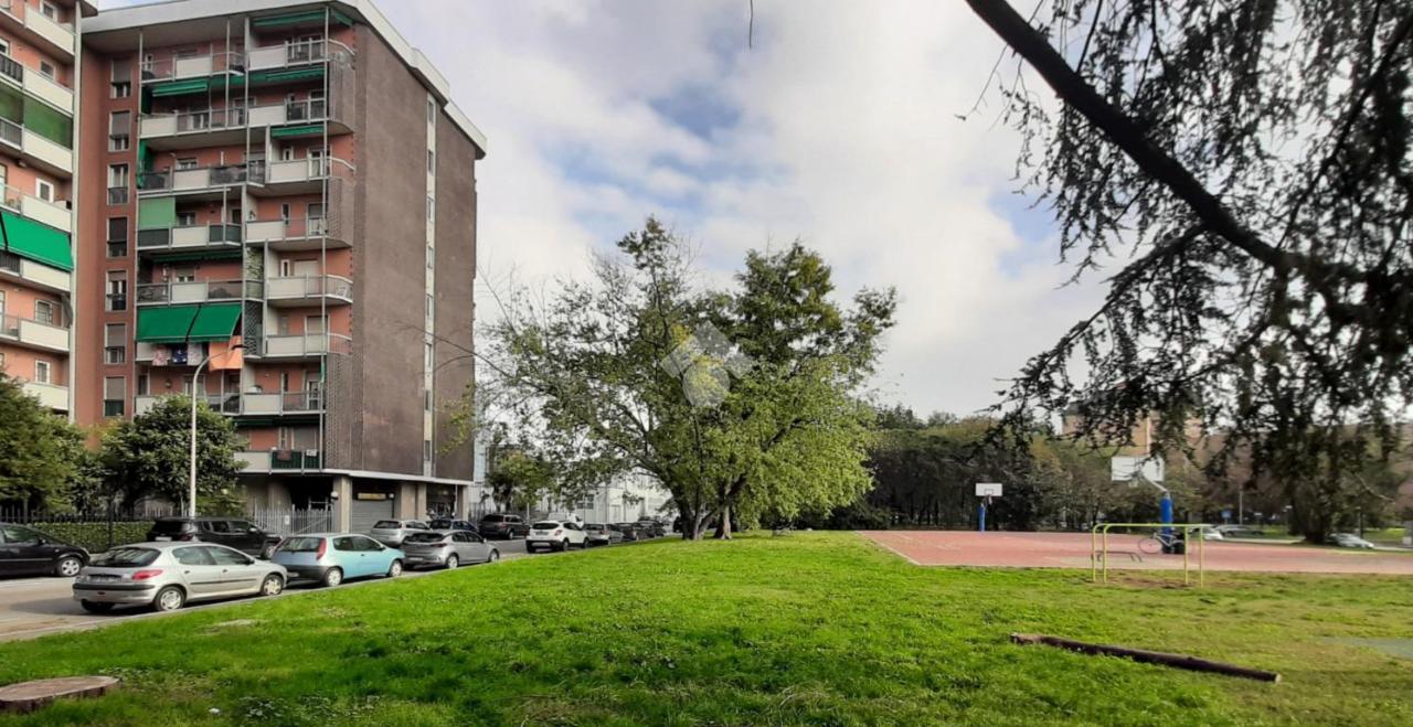 Appartamento in vendita a Cinisello Balsamo