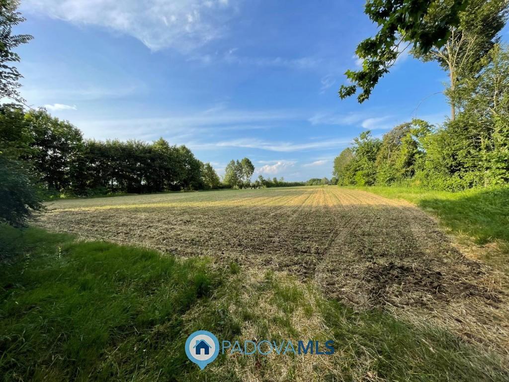 Terreno agricolo in vendita a Cadoneghe