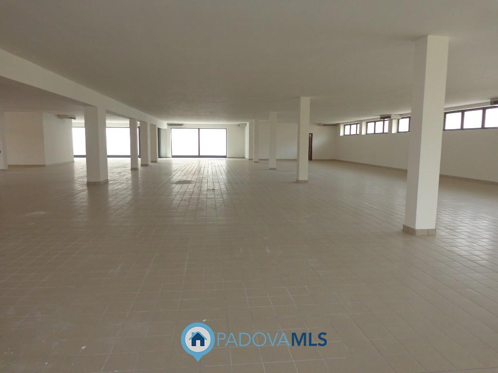 Negozio in vendita a Cologna Veneta