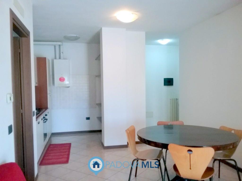 Appartamento in vendita a Saccolongo