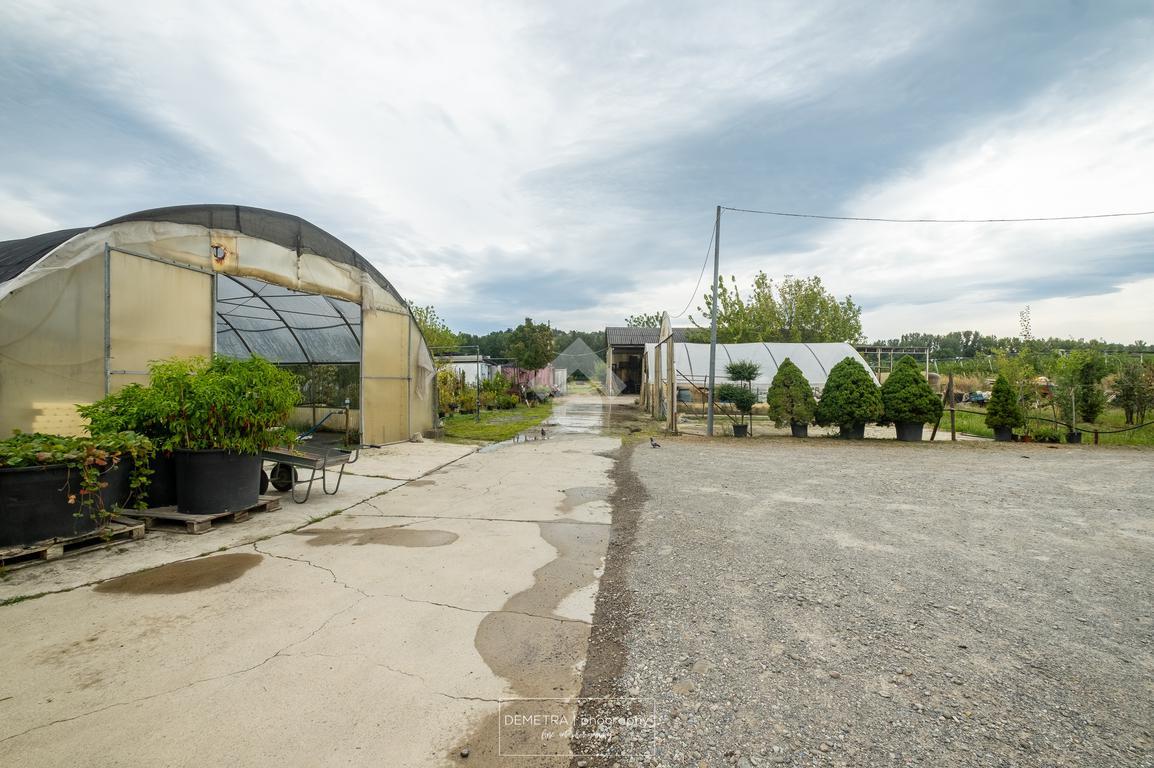 Terreno agricolo in vendita a Vignola