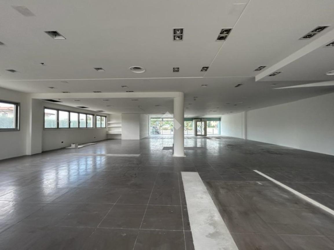 Negozio in affitto a Vigonza