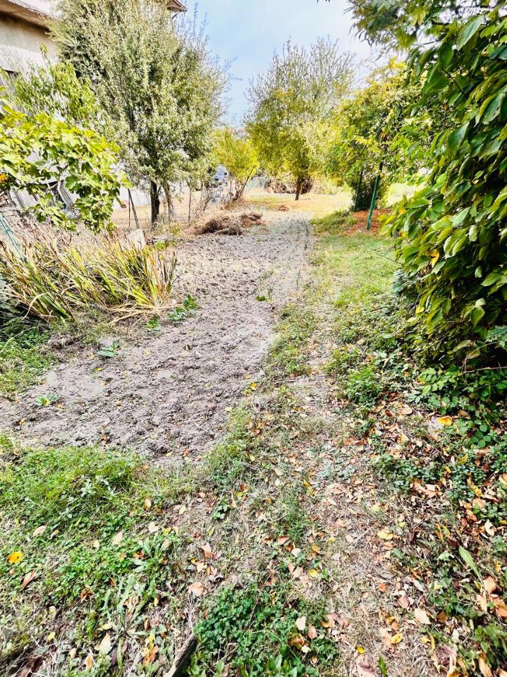 Casa indipendente in vendita a Montu' Beccaria Foto-13