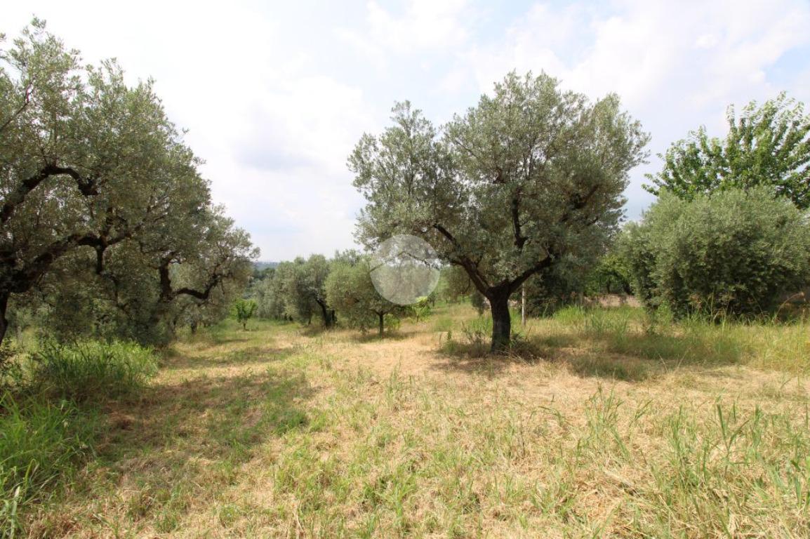 Terreno edificabile in vendita a Nerola