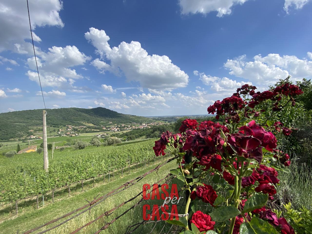 Casale in vendita a Baone