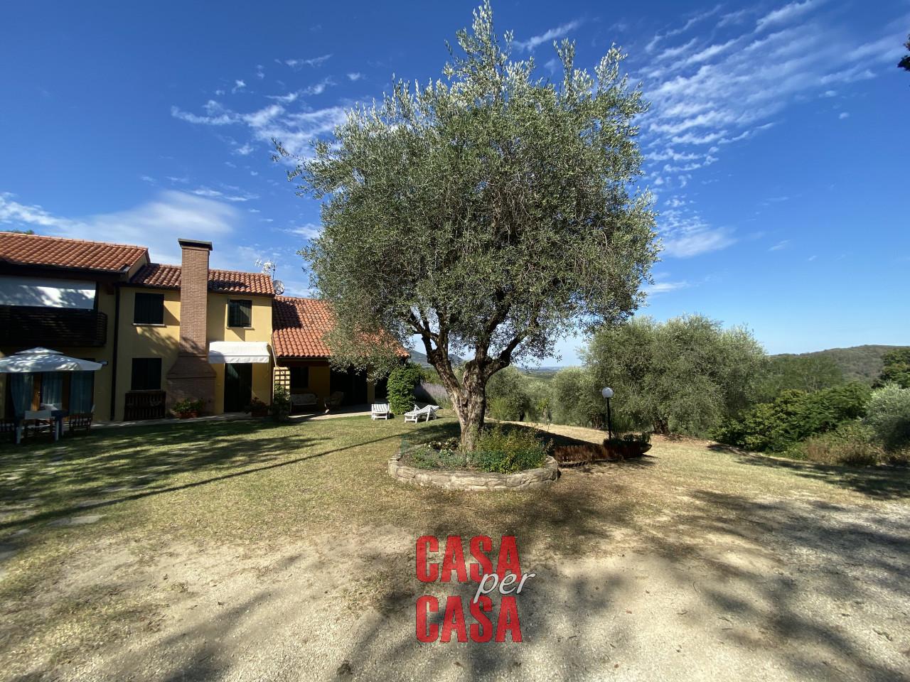 Rustico in vendita a Baone