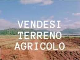 Terreno agricolo in vendita a Cinto Euganeo