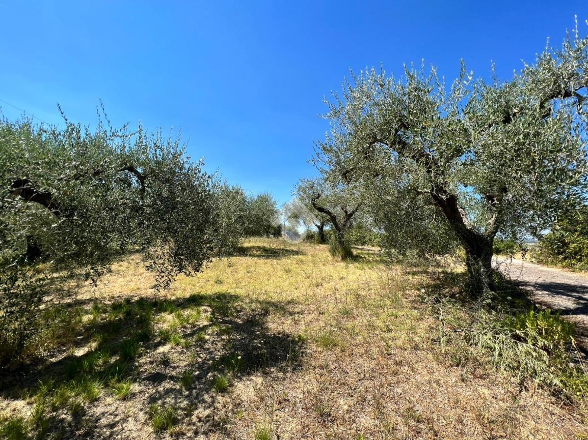 Terreno edificabile in vendita a Monterotondo