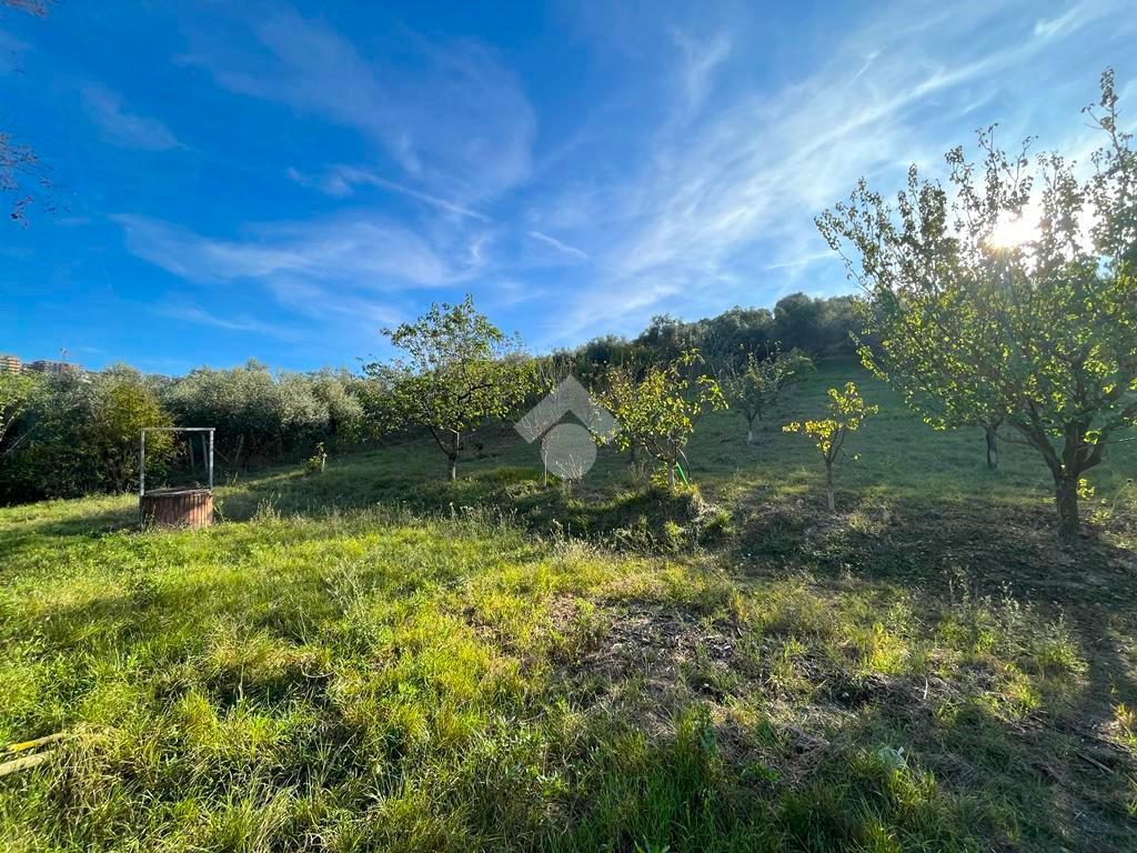 Terreno agricolo in vendita a Monterotondo
