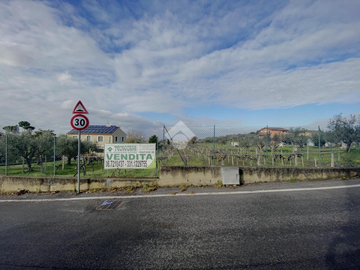 Terreno agricolo in Via Vanvitelli 48, Frascati