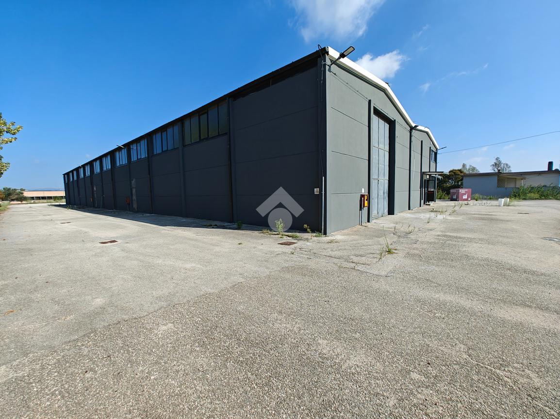 Capannone in affitto a Pomezia