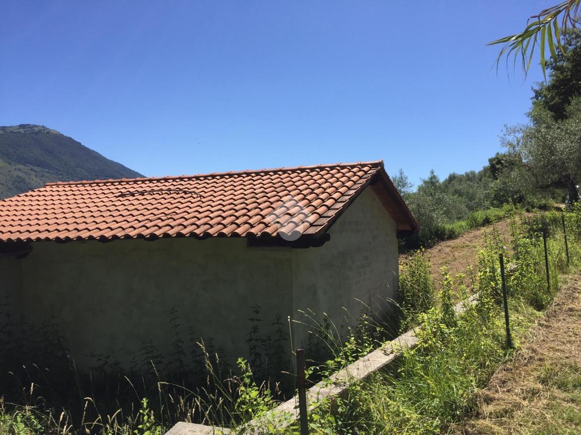 Casa indipendente in vendita a Olevano Romano