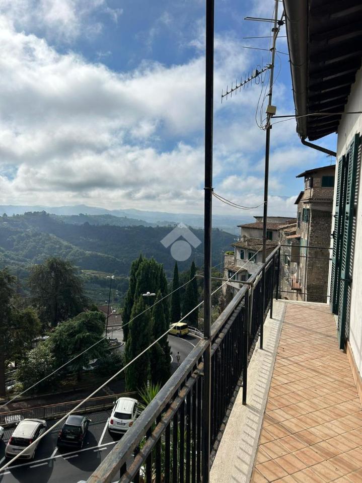 Appartamento in vendita a Olevano Romano