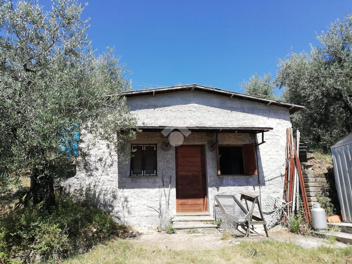 Rustico in vendita a Olevano Romano