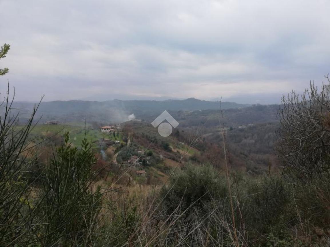 Casa indipendente in vendita a Olevano Romano