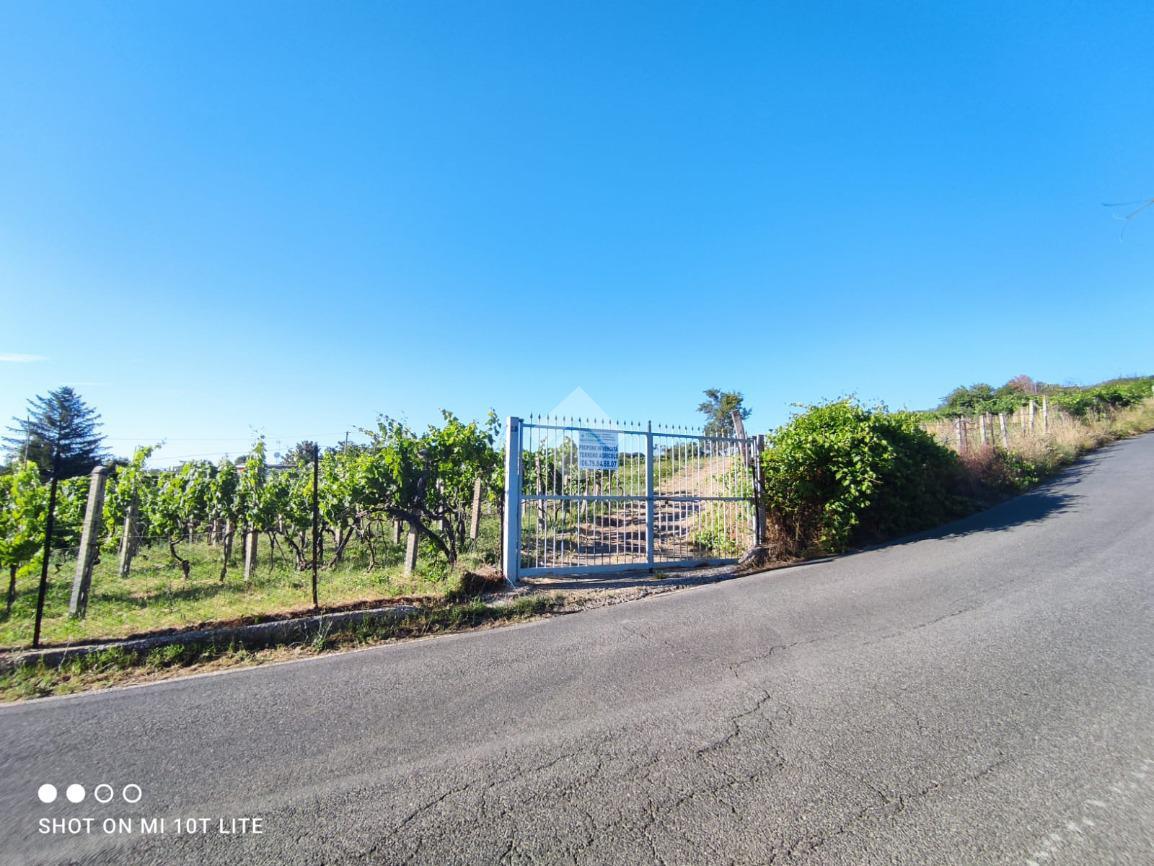 Terreno agricolo in vendita a Grottaferrata