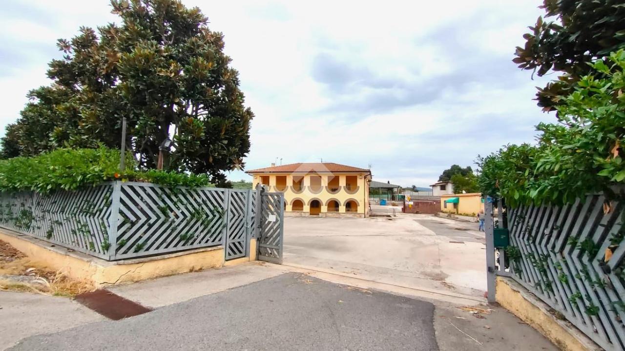 Capannone in affitto a Velletri