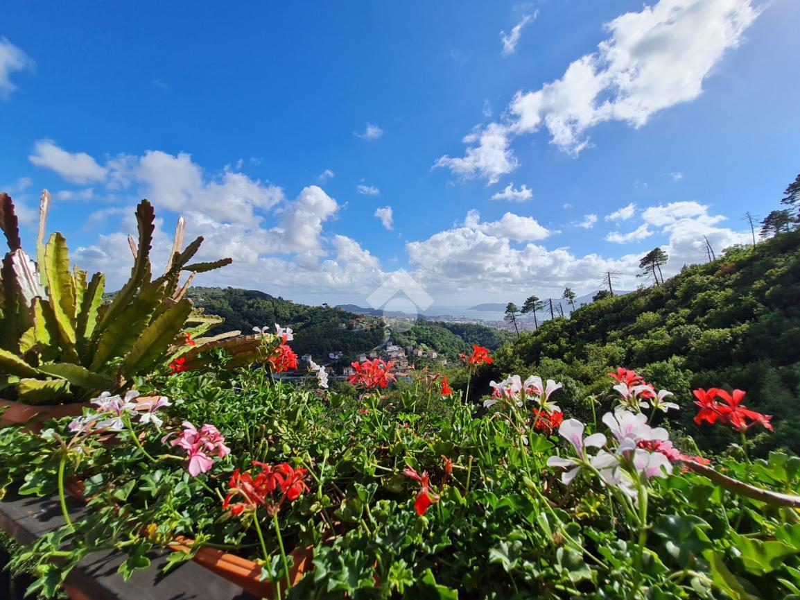 Casa indipendente in vendita a Vezzano Ligure