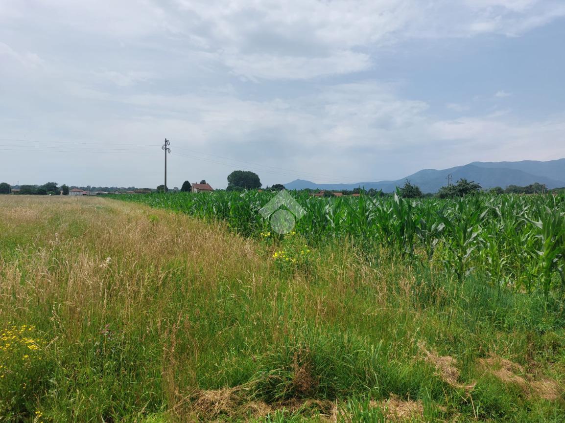 Terreno agricolo in vendita a Cirie'