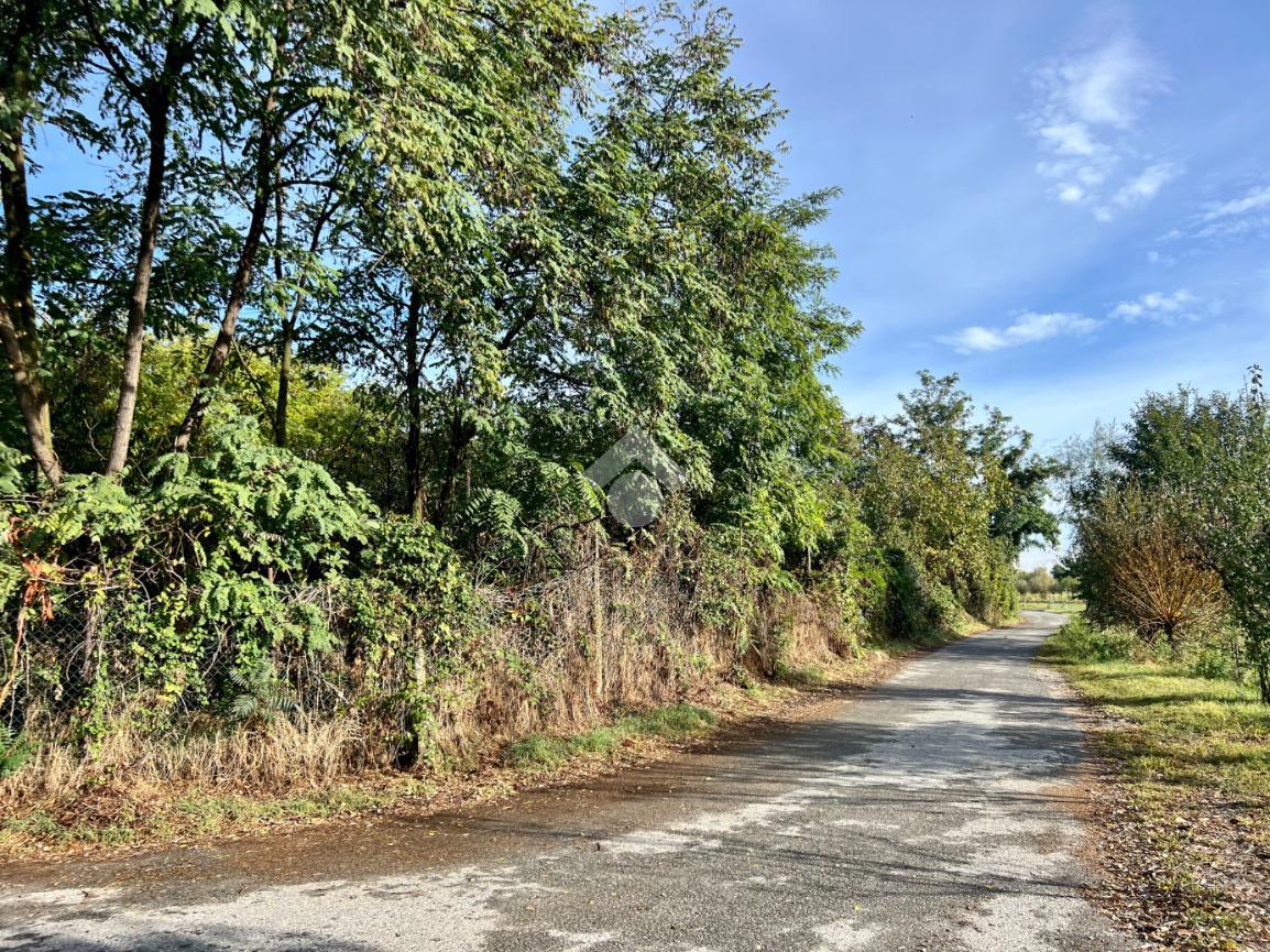 Terreno agricolo in Via Macello, Cavour
