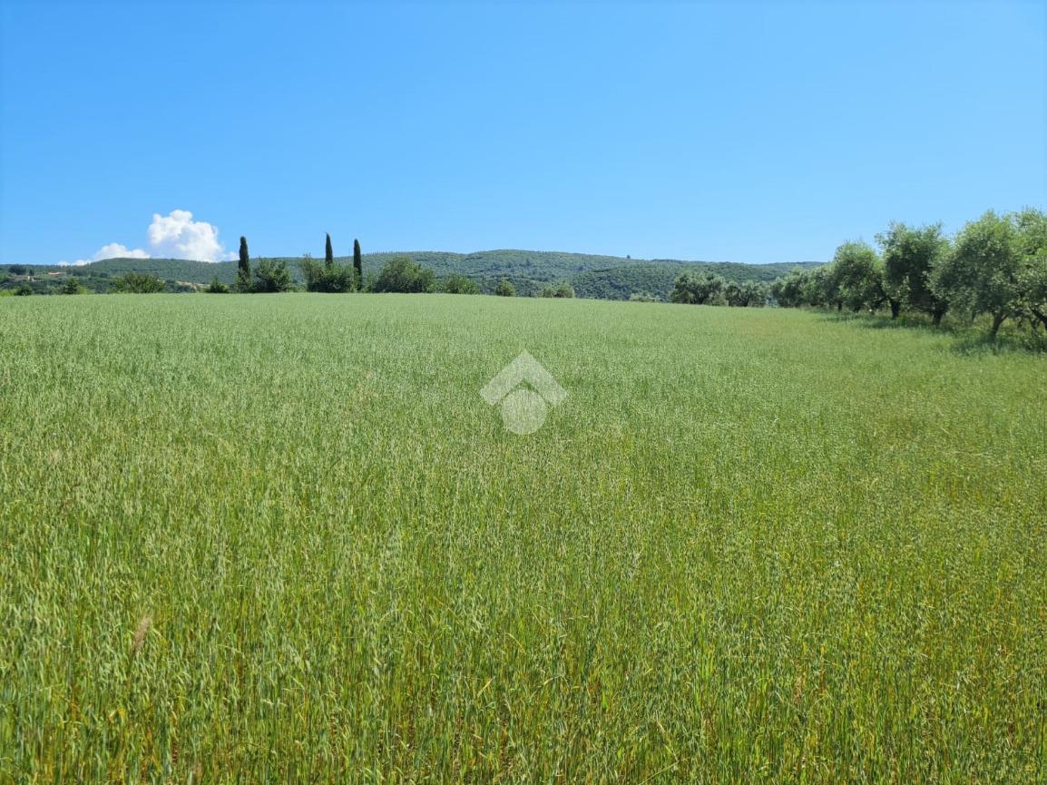 Rustico in vendita a Narni