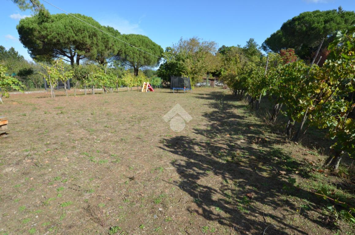 Terreno edificabile in vendita a Orvieto