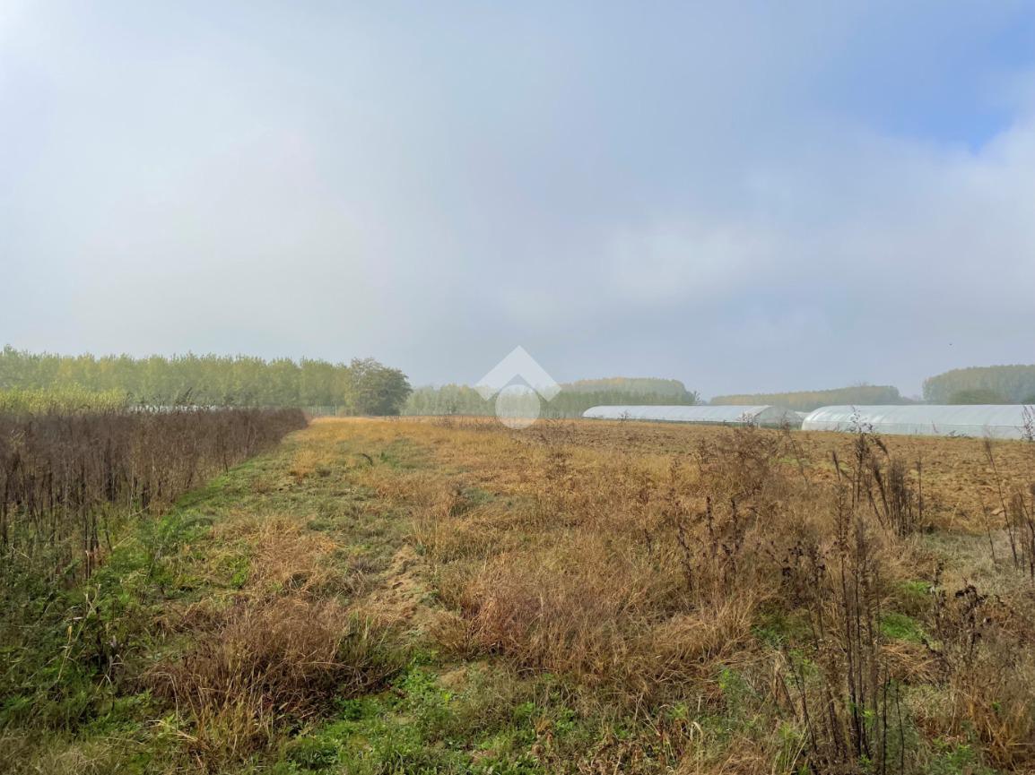 Terreno agricolo in vendita a Santena