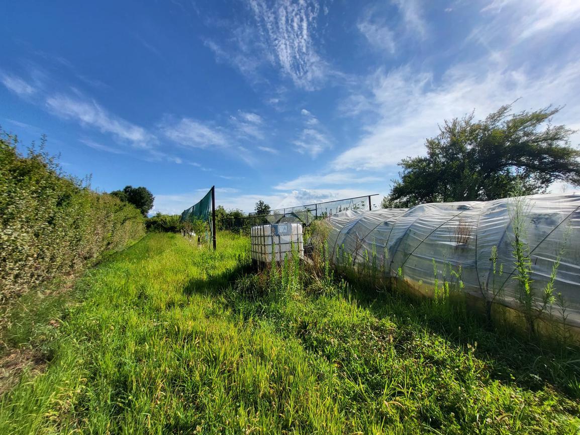 Terreno agricolo in vendita a San Benigno Canavese