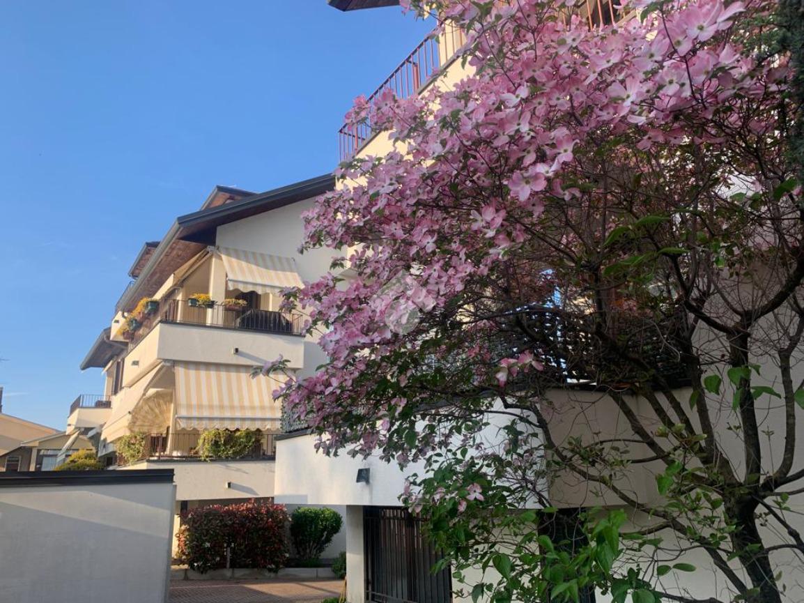 Appartamento in vendita a Magnago